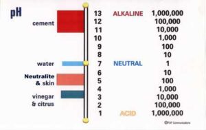 Home - Neutralite Safety Solution